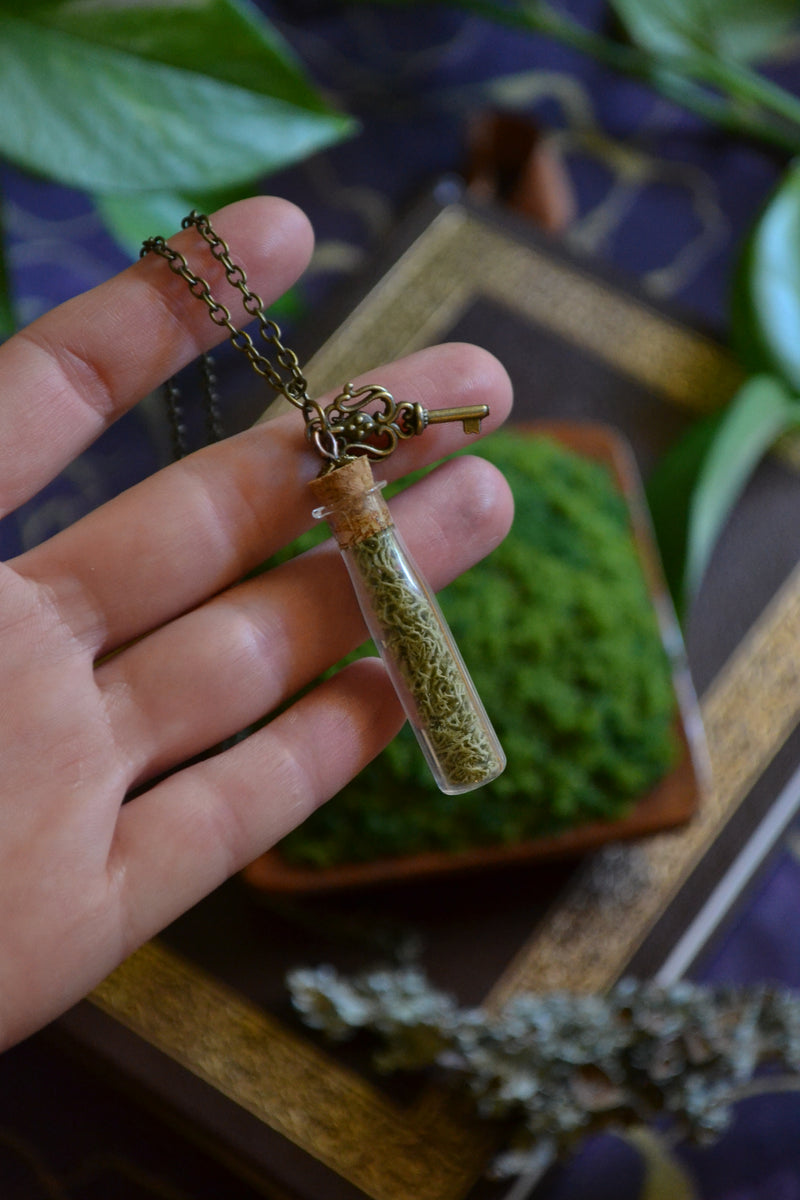 Lichen Spell Bottle Necklace The Arcane Moth