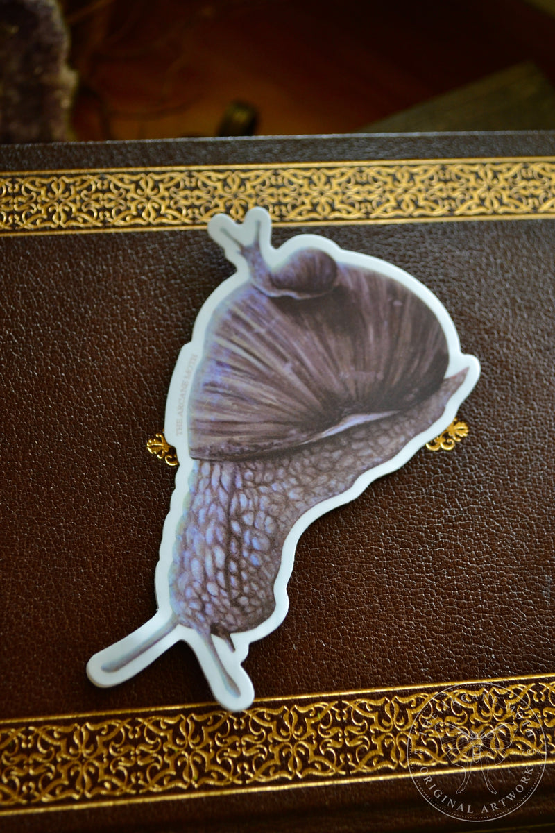 Snail Sticker The Arcane Moth