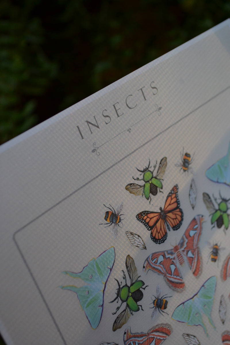 Insect Mandala Art Print – The Arcane Moth